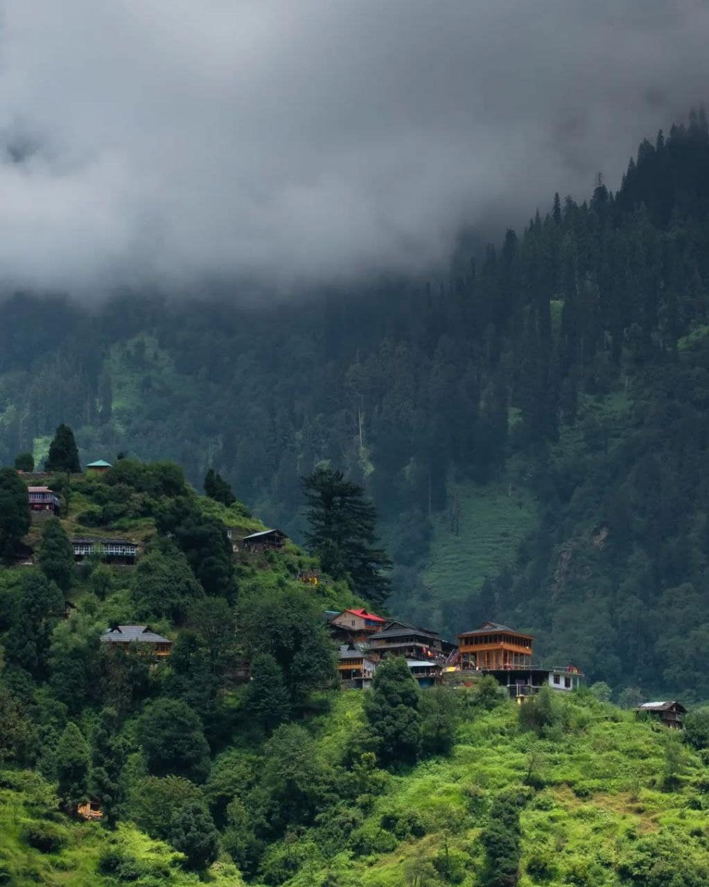 Escape to Tranquility: Sunil’s Cabin Homestay – A Hideaway in Nature ...